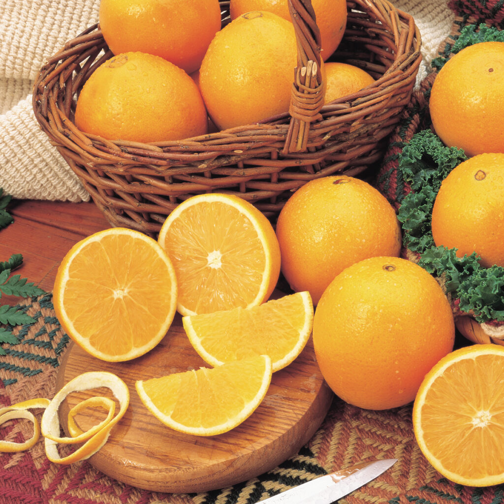 Navel Oranges - Hand picked and grove fresh