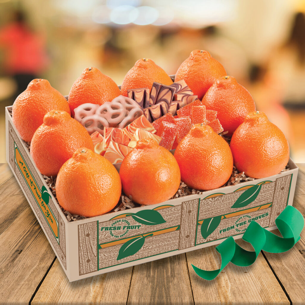 Honeybells and Delights - Poinsettia Groves